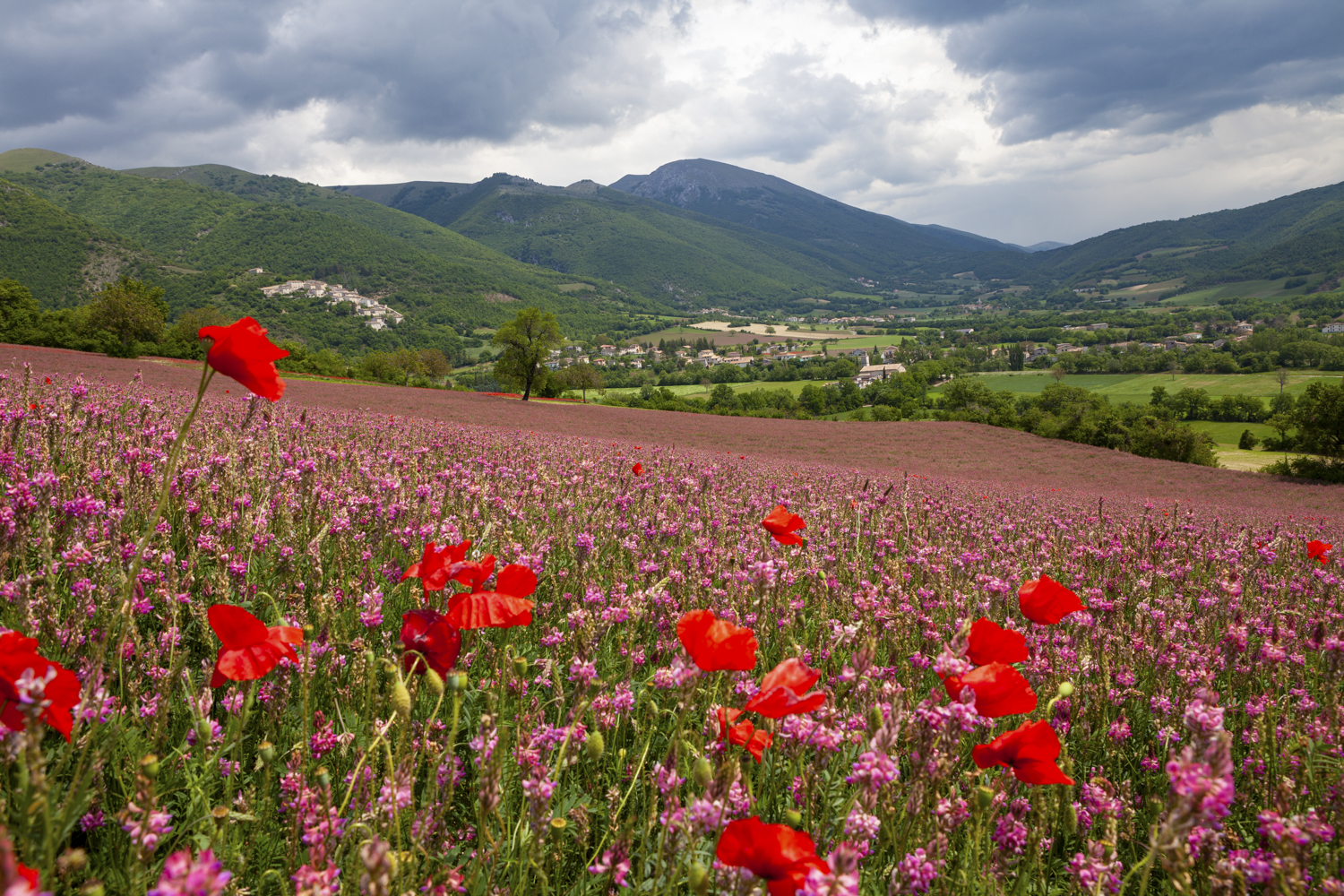 15 Summer Landscape Photography Tips (+ Examples) – MJW Photos